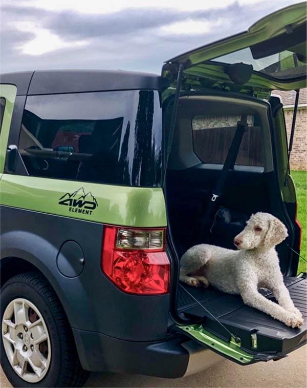Honda Element AWD Decal Set: Realtime 4WD Vinyl Stickers - Etsy