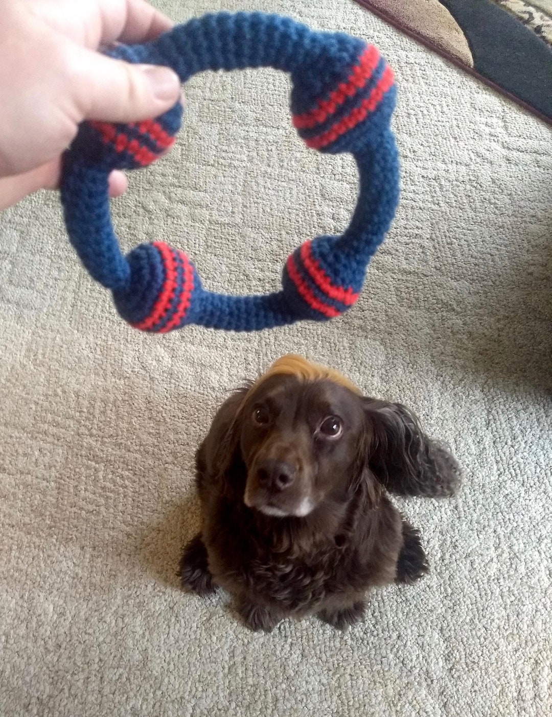 Crocheted Dog Toy . CROCHET PATTERN . PDF Instant Download - Etsy