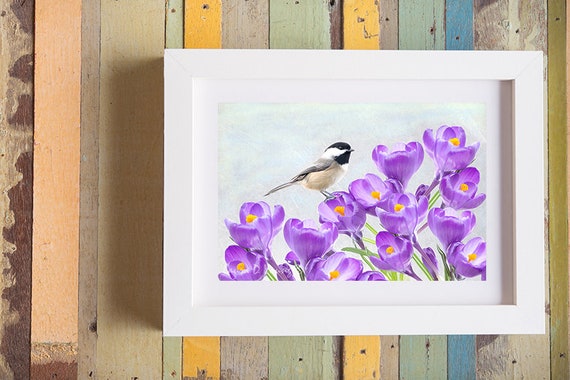 Birds With Crocus