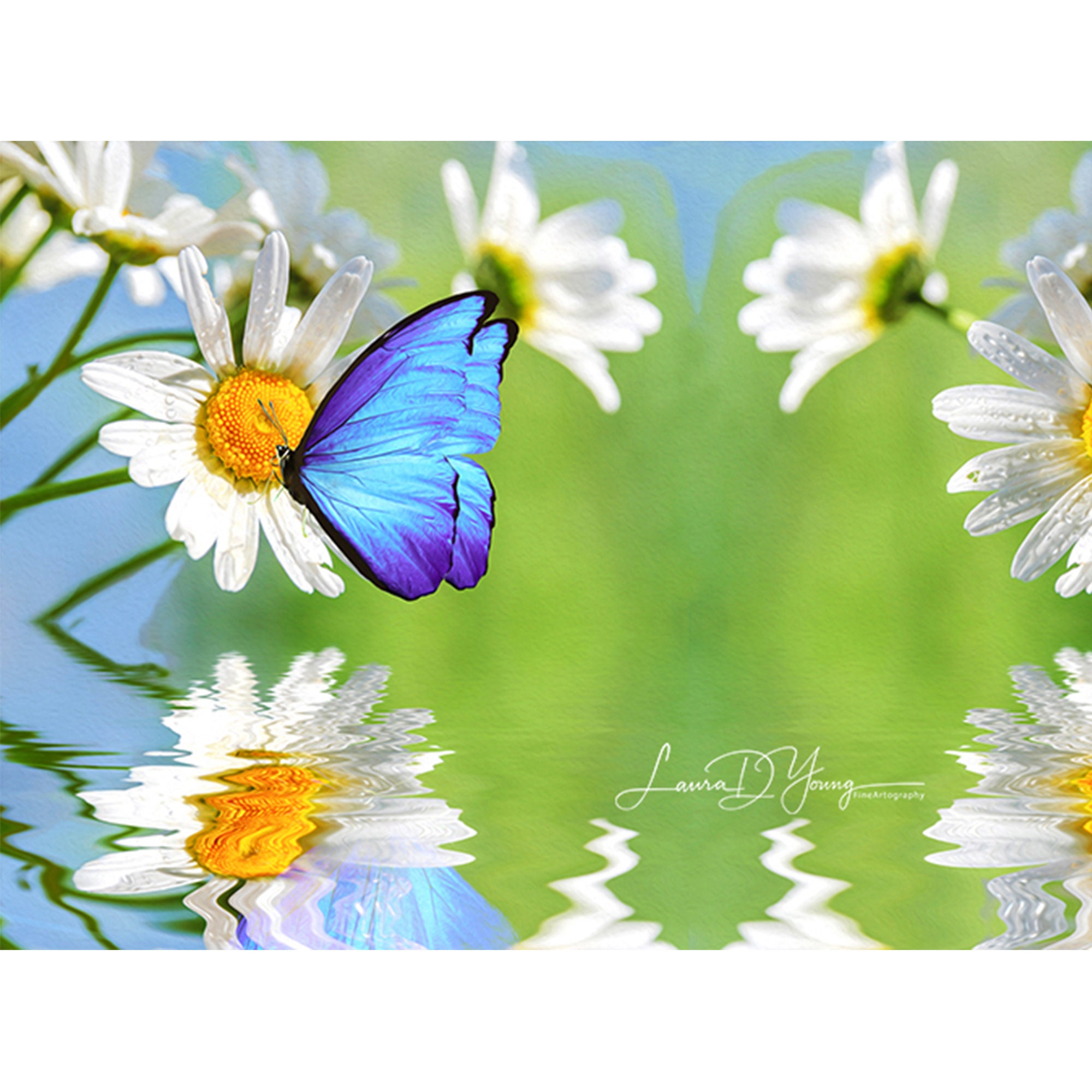 Blue Butterflies And Flowers