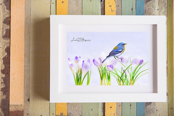 Birds With Crocus