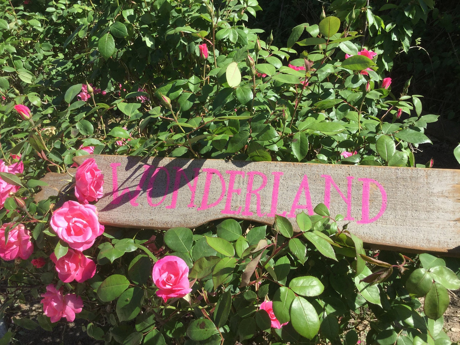 Storybook Signs Baby's Nursery Book Nook Whoville 100 | Etsy