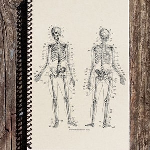 Skeletal Anatomy Journal Skeletal Anatomy Spiral Notebook Skeleton ...