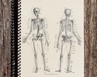 Vintage Anatomy Notebook, Skeleton Notebook, Dark Academia Decor ...