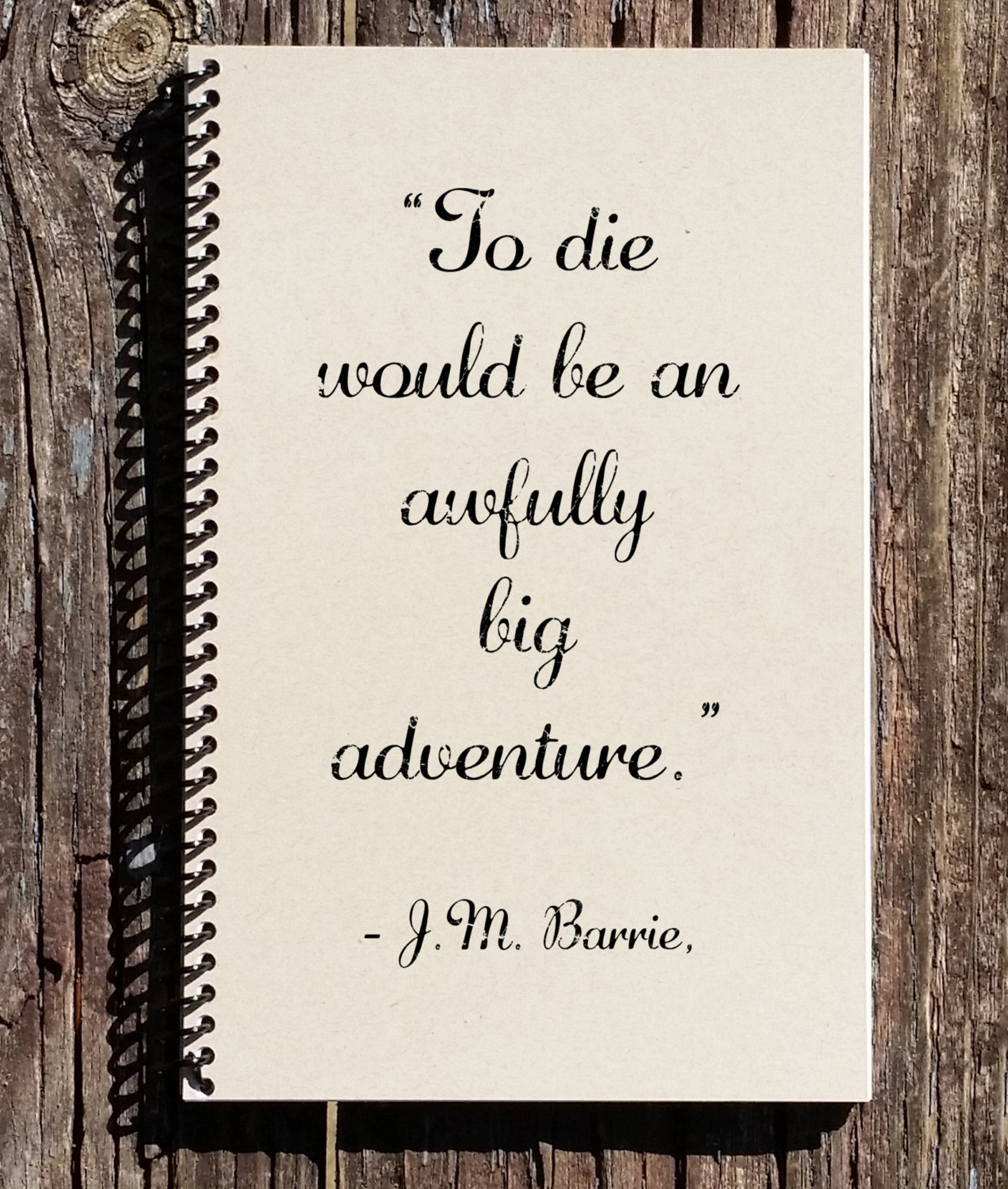 Peter Pan Spiral Notebook - Peter Pan Journal - to Die Would Be an ...