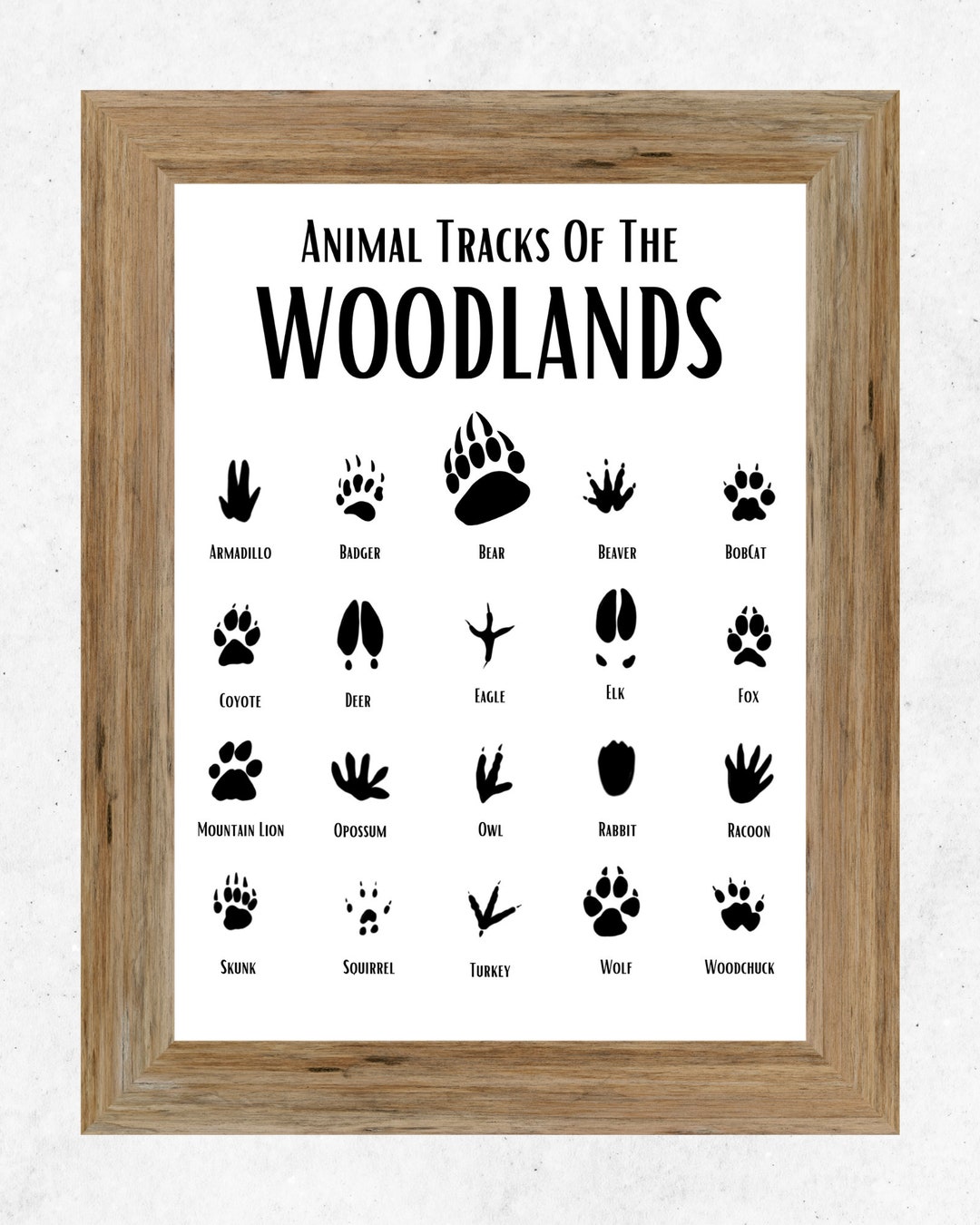 Woodland Animal Tracks Print, Forest Animal Tracks Wall Art, Animal ...
