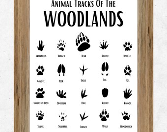 Woodland Animal Tracks Print Printable Nursery Decor - Etsy