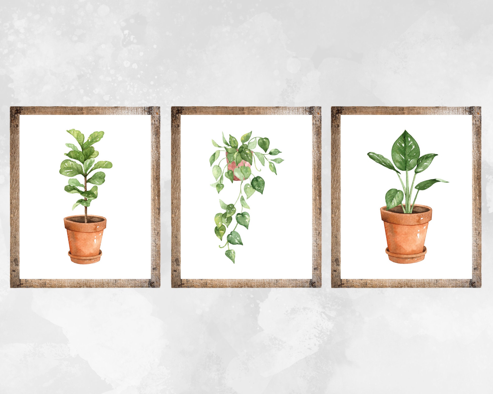 Botanical Prints, House Plant Prints, Botanical Wall Art, Living Room ...