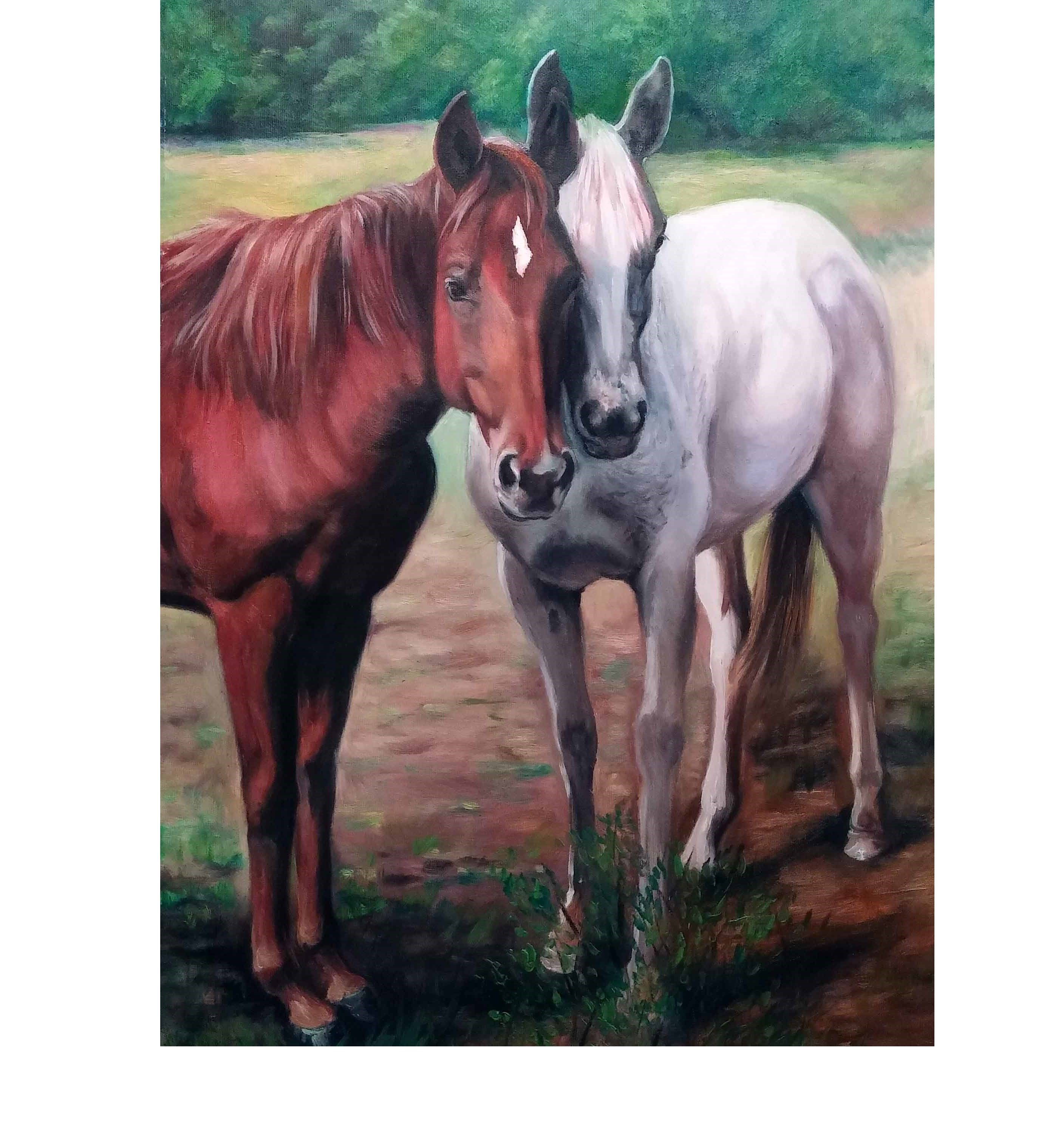 Custom horse painting Oil Portraitcustom portraitportrait | Etsy