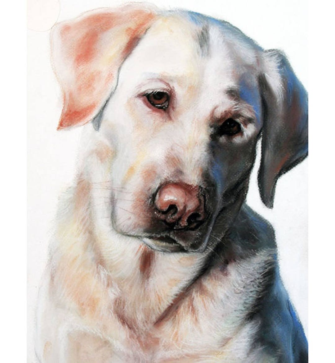 Labrador, Pet Portrait, Custom Painting, Pet Lover Painting, Handmade ...