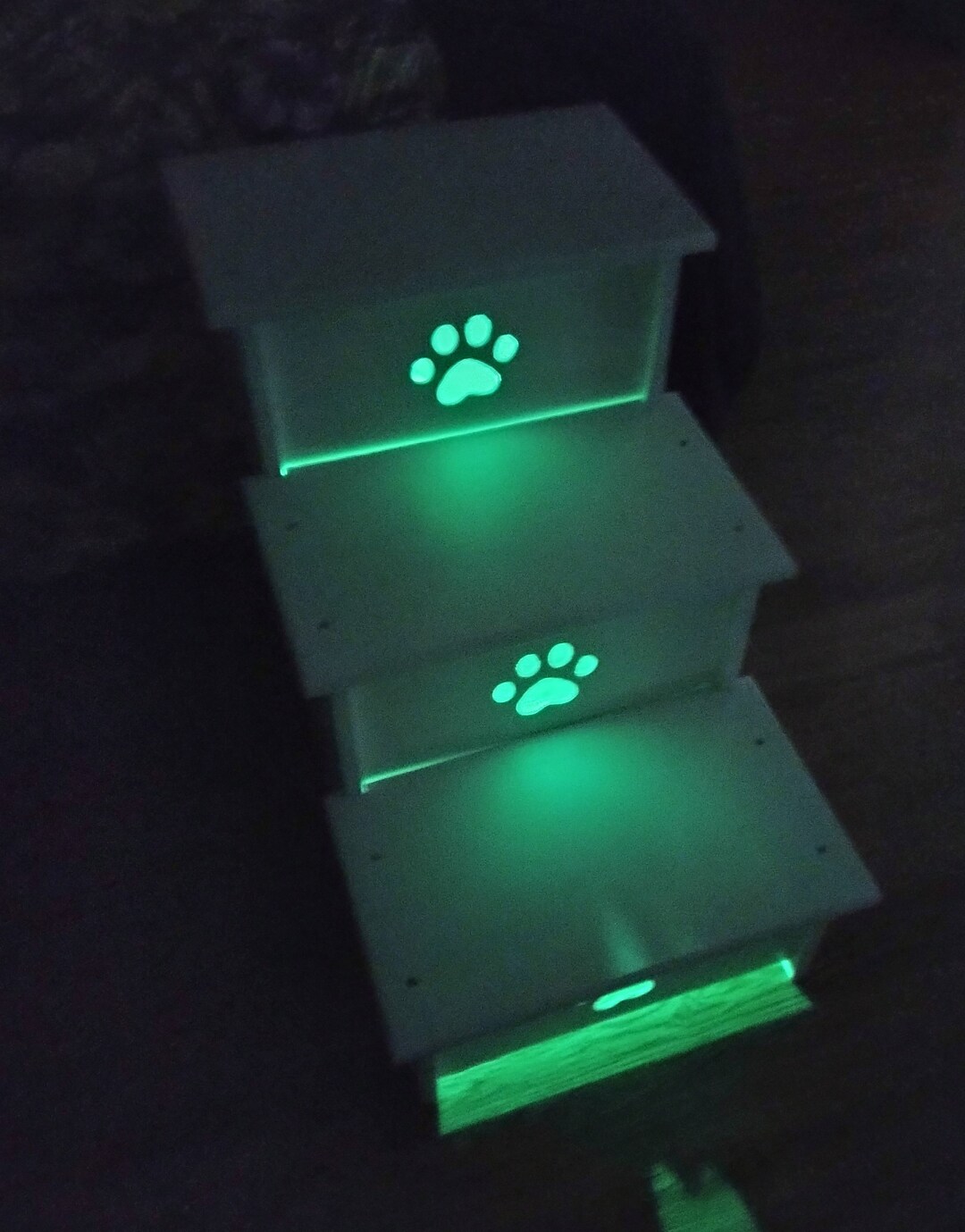 Lighted Pet Stairs With Enclosed Risers, Medium Dog Steps - Etsy