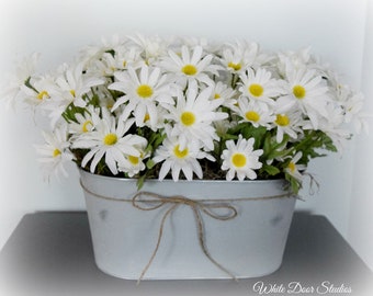 Daisy planter | Etsy