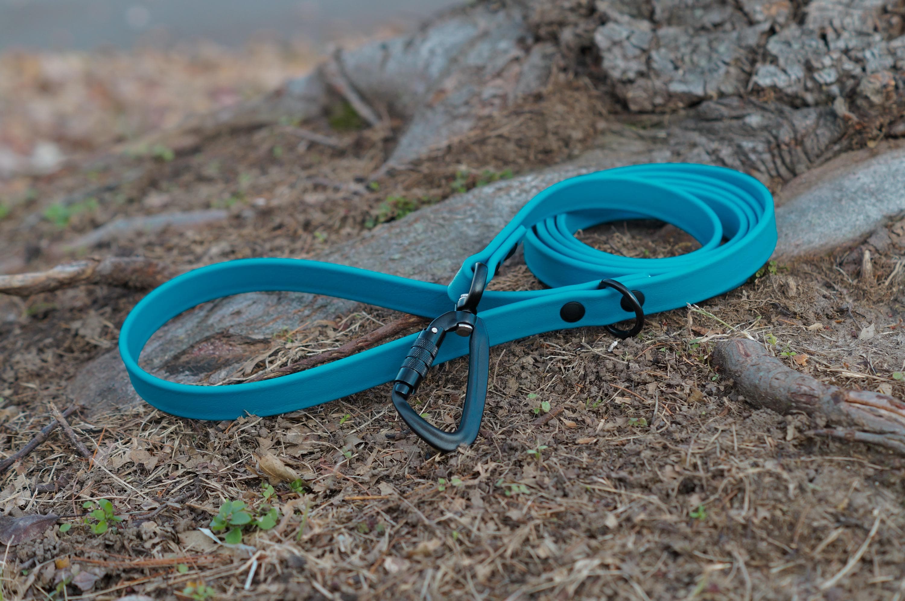 Turquoise Waterproof Biothane® Webbing Leash With Carabiner, Heavy Duty ...