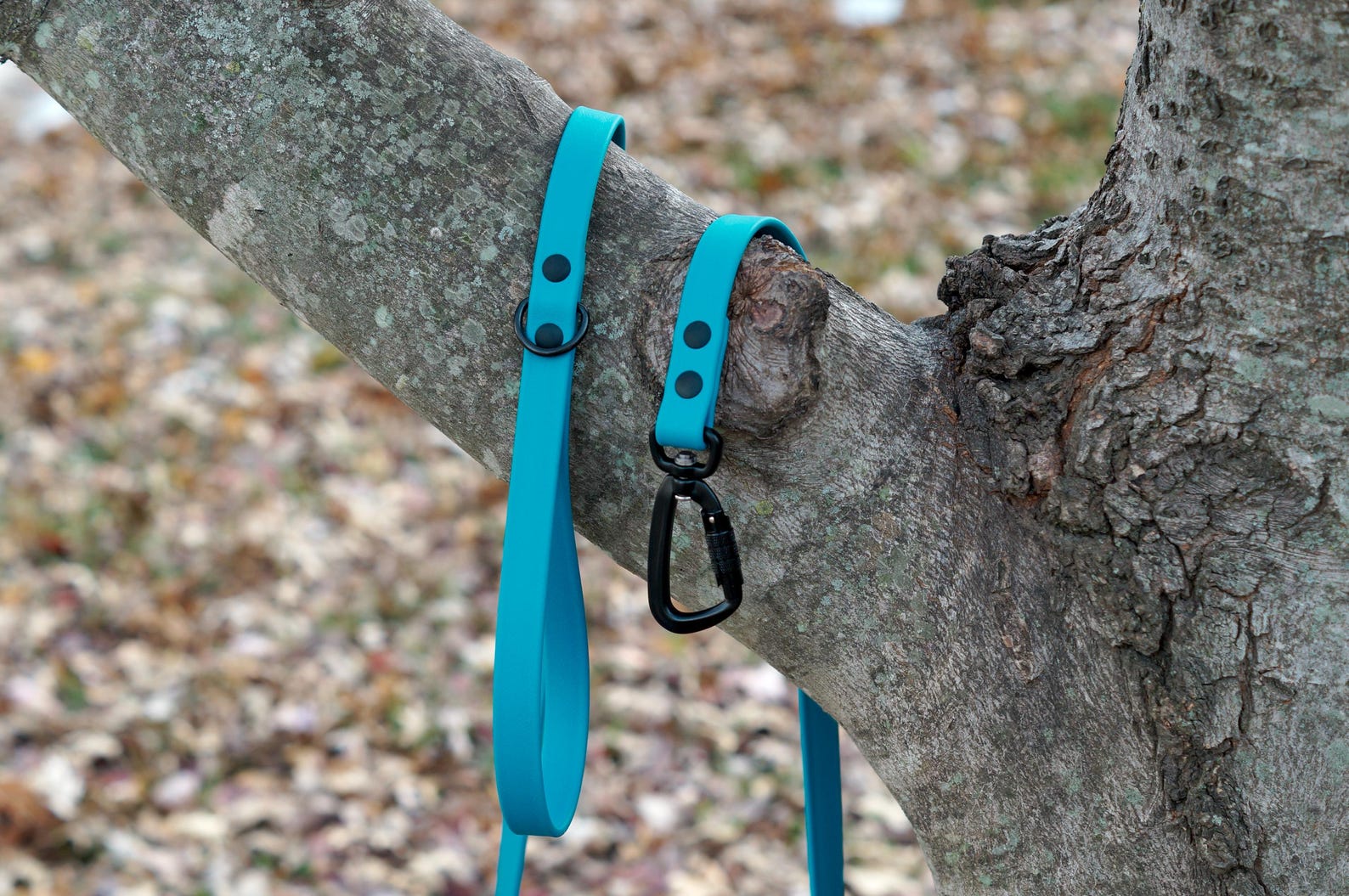 Turquoise Waterproof Biothane® Webbing Leash With Carabiner, Heavy Duty ...
