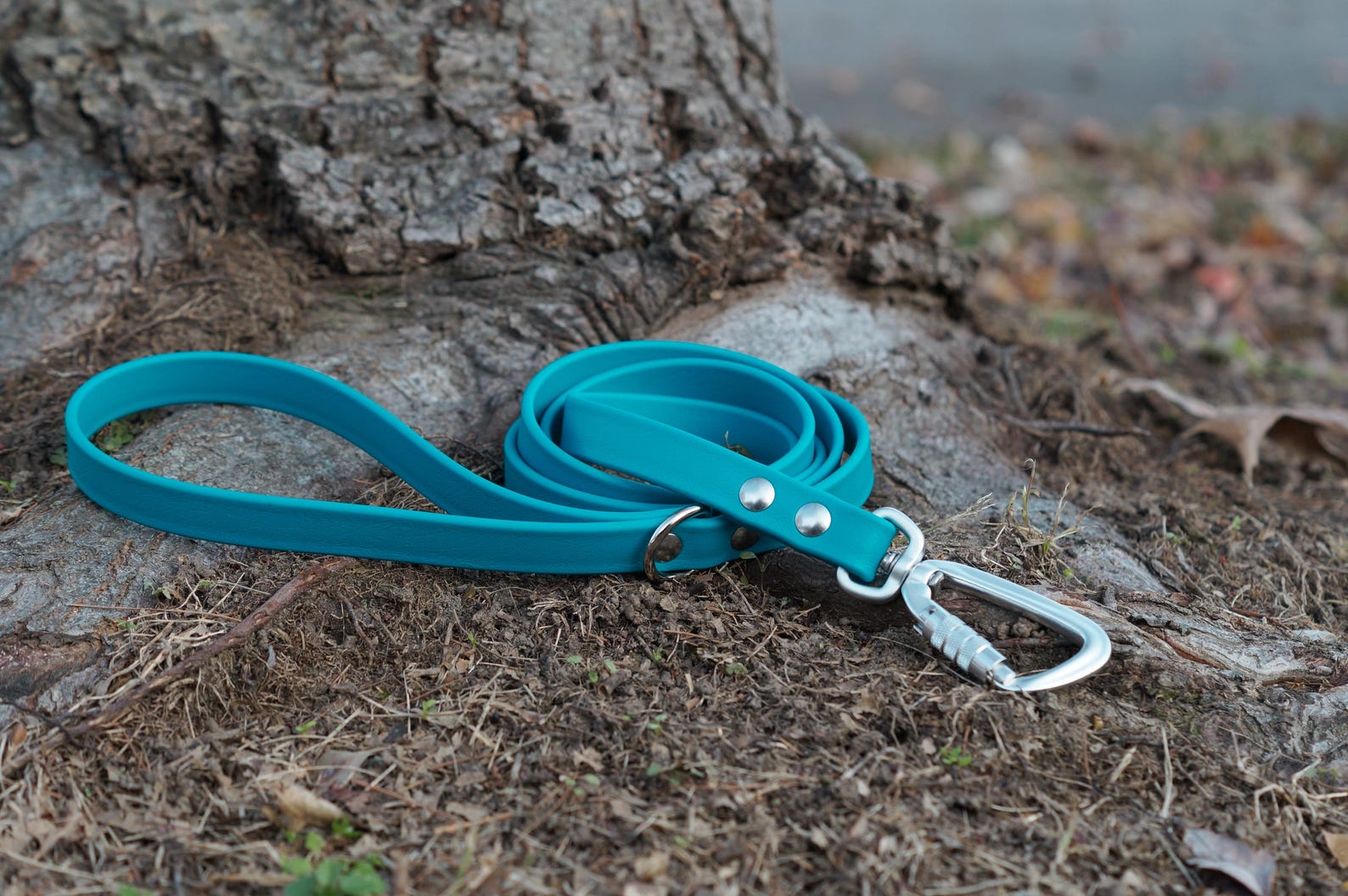Turquoise Waterproof Biothane® Webbing Leash With Carabiner, Heavy Duty ...