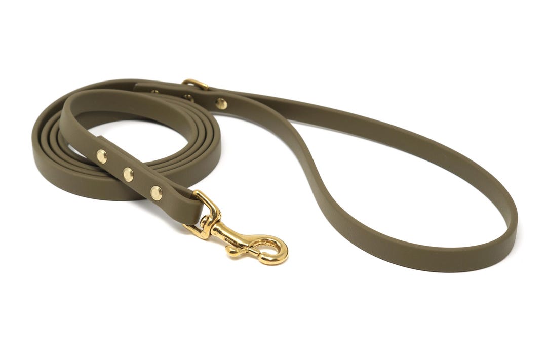 Biothane® Webbing Leash for Small Dog Breeds, Waterproof New Puppy Gift ...