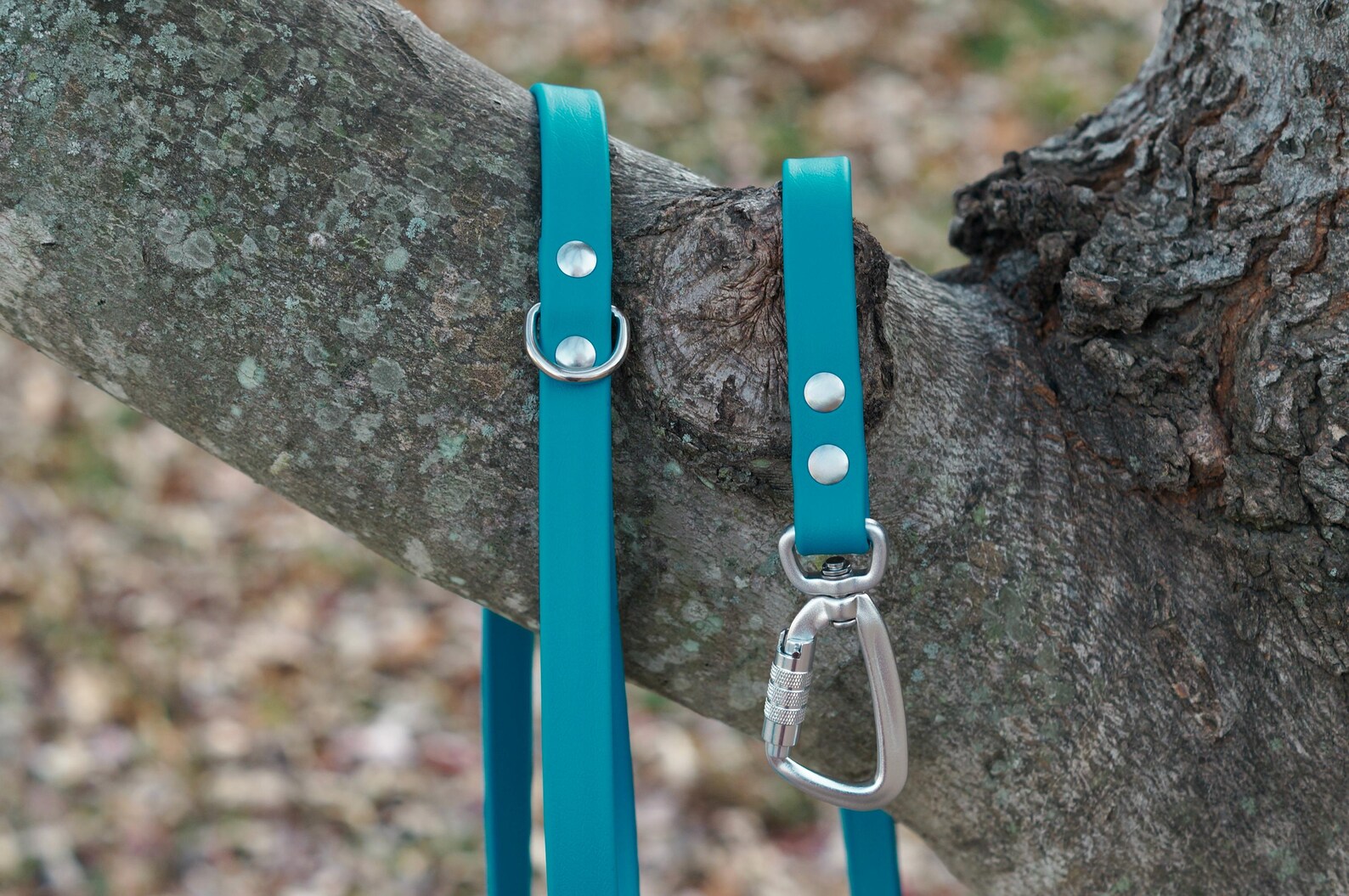 Turquoise Waterproof Biothane® Webbing Leash With Carabiner, Heavy Duty ...