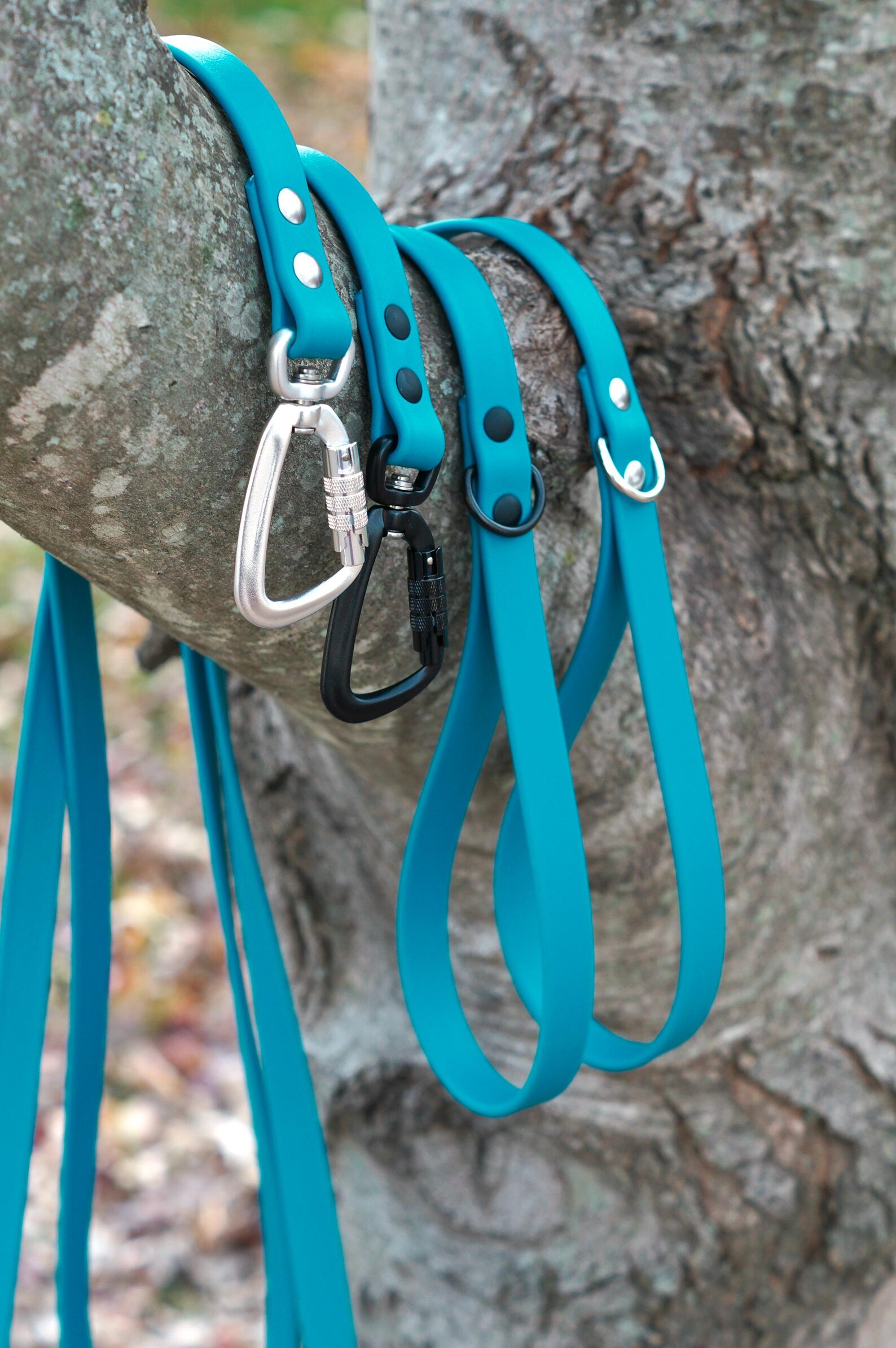 Turquoise Waterproof Biothane® Webbing Leash With Carabiner, Heavy Duty ...