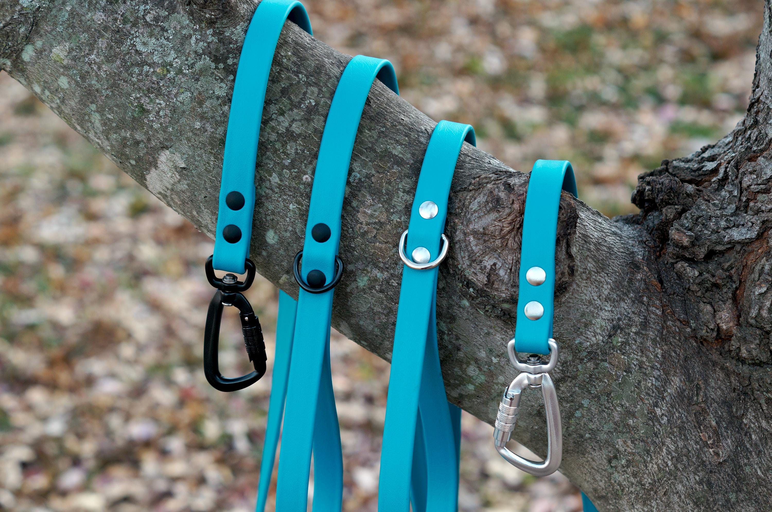 Turquoise Waterproof Biothane® Webbing Leash With Carabiner, Heavy Duty ...