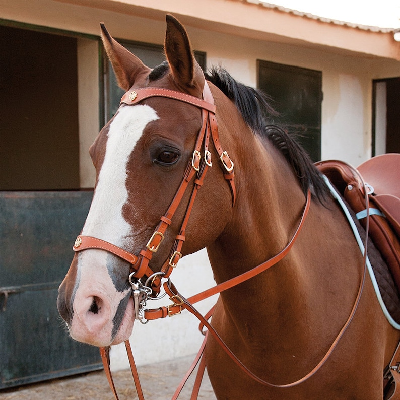 Lusitania Double Rein Bridle - Etsy