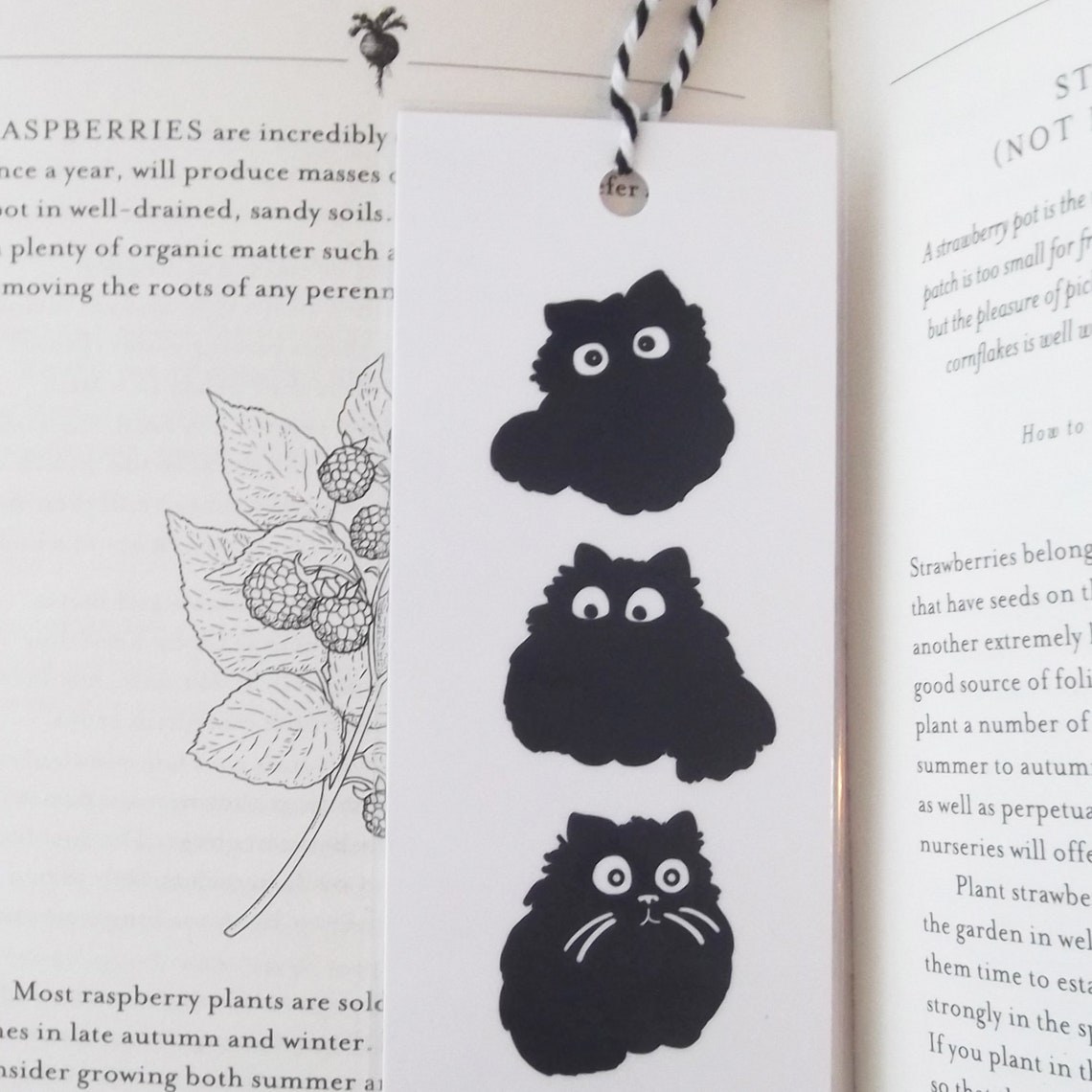 Black Cat Bookmark Cute Laminated Book Mark Cat Lover Small | Etsy