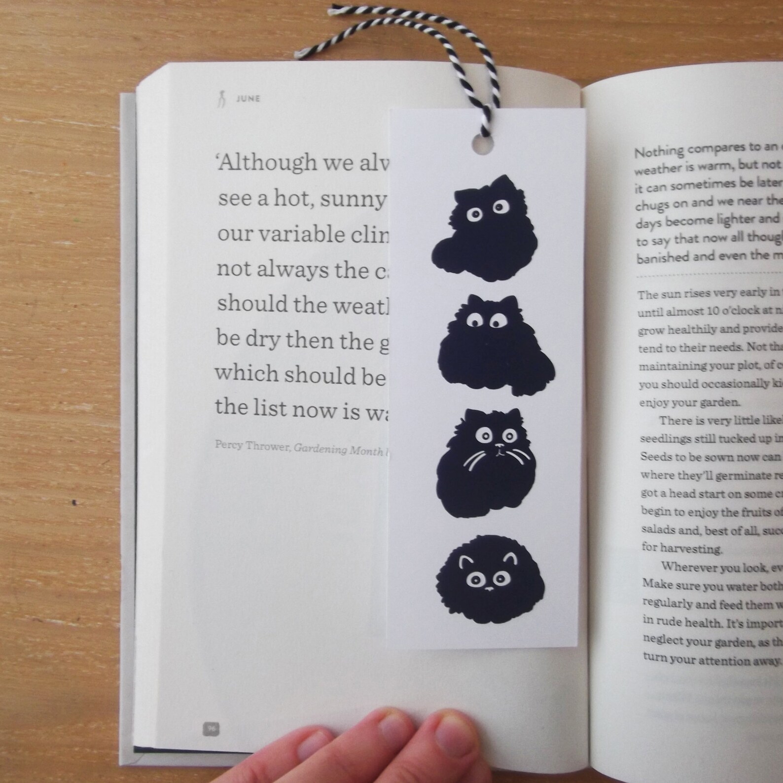 Black Cat Bookmark Cute Laminated Book Mark Cat Lover Small | Etsy