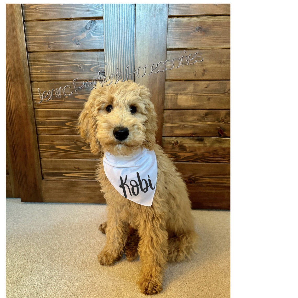 New Puppy Essential Kit, Dog Gift Box Personalized Basket, Hello Pupppy ...