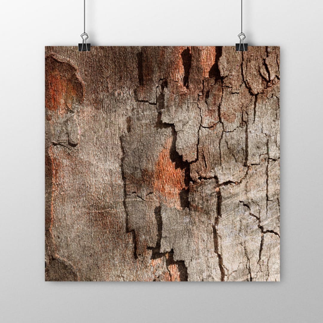 Tree Bark Digital Paper, Wood Texture, Wood Backgrounds, Tree Peel ...