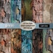 Tree Bark Digital Paper, Wood Texture, Wood Backgrounds, Tree Peel ...
