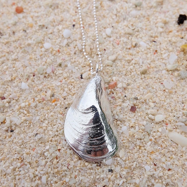 Large Mussel Shells - Etsy