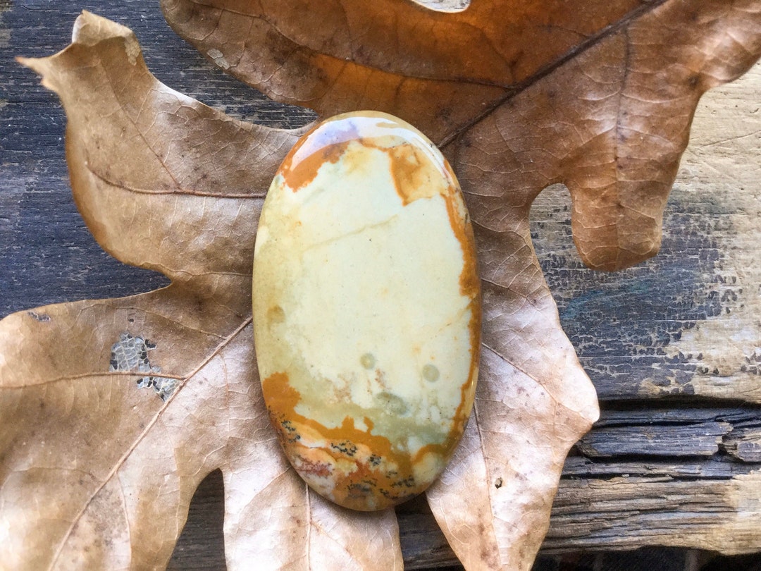 Picture Jasper Cab Large Oval Buckskin Tan, Orange, Rust, and Sage ...