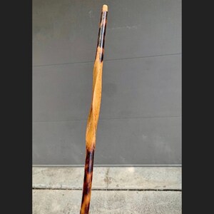 Antique Twisted Burley Branch Root Wood Swagger Walking Stick Straight ...