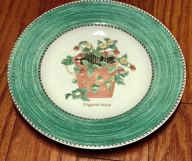 Vintage 1997 Discontinued Retired Made in England WEDGWOOD SARAHS ...