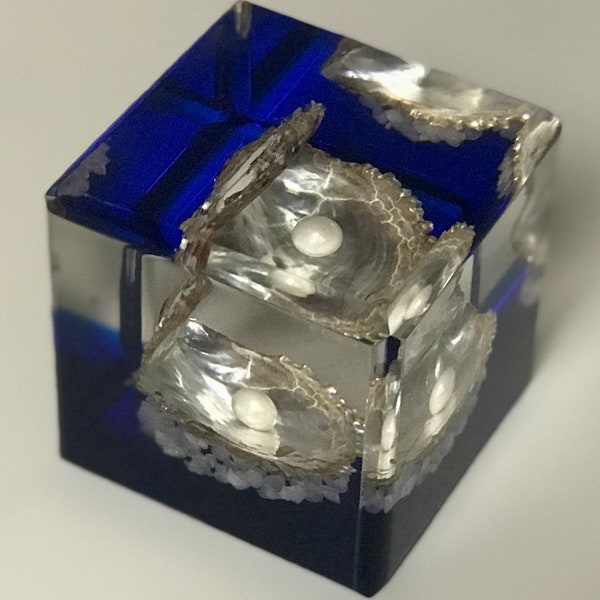 Shells in Lucite - Etsy