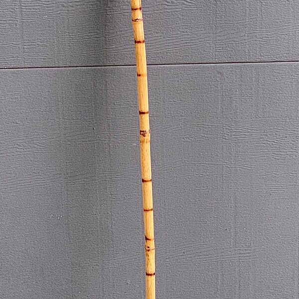 Bamboo Walking Stick - Etsy
