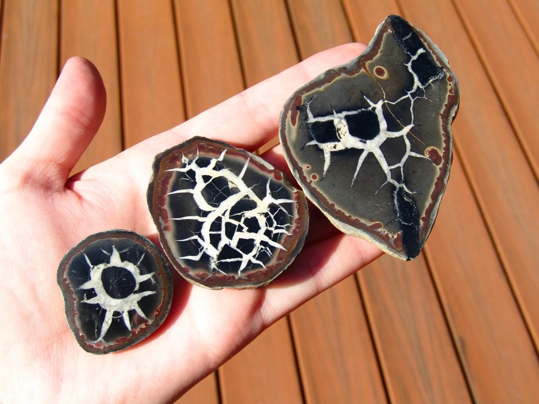 Septarian Nodule, Septarian Crystal Specimen, Natural Raw Septarian ...