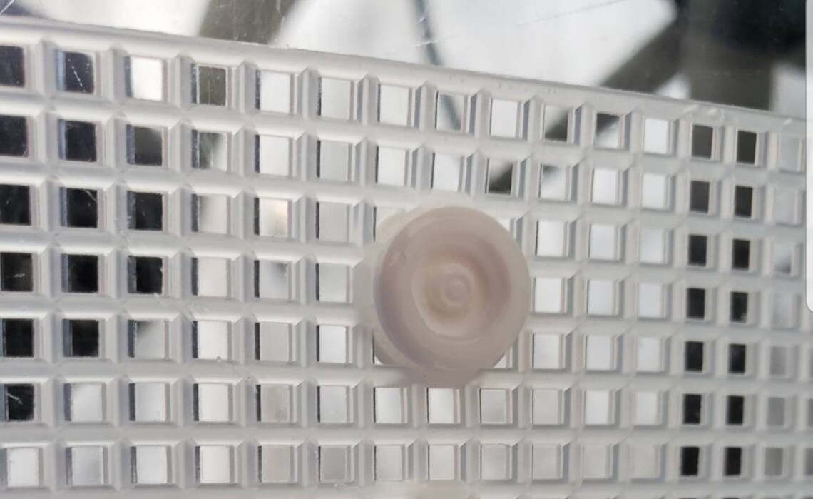 Insert Roll ONLY Reusable Paper Towels Mesh Insert for Paper | Etsy