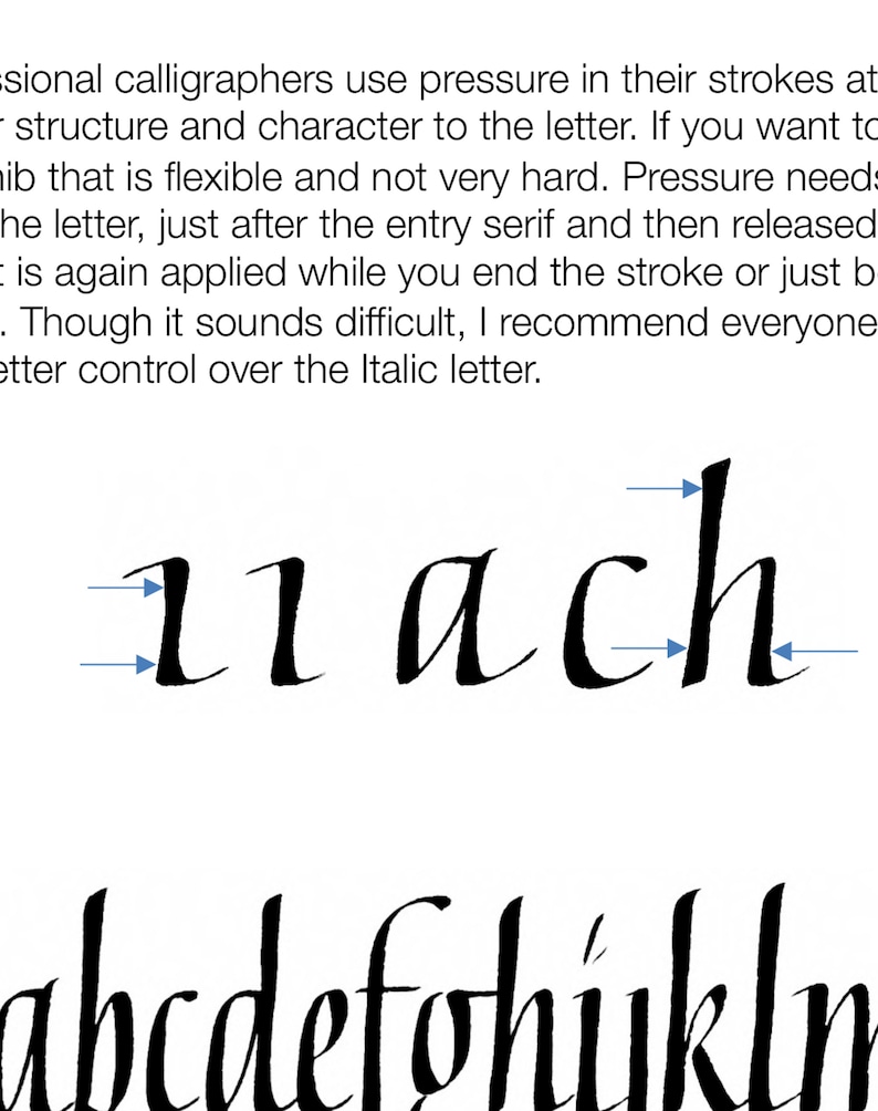 Italic Calligraphy Learning Guide - Etsy