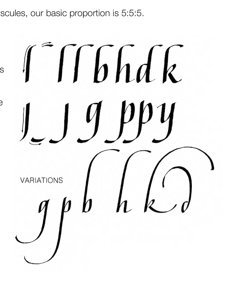 Italic Calligraphy Learning Guide - Etsy