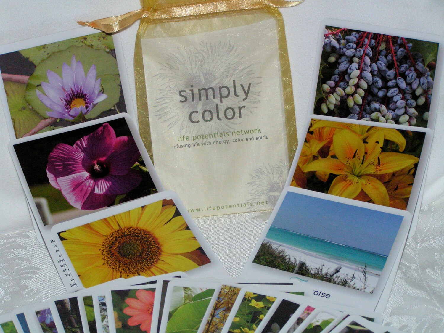 Simply Color Card Deck - Etsy