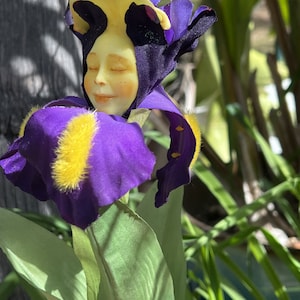 MUSING IRIS Alice in Wonderland (non) Talking Flowers for Parties ...