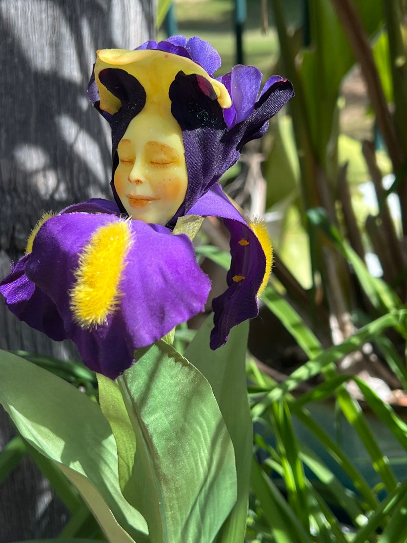 MUSING IRIS Alice in Wonderland (non) Talking Flowers for Parties ...