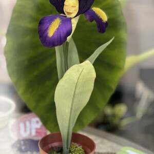 MUSING IRIS Alice in Wonderland (non) Talking Flowers for Parties ...