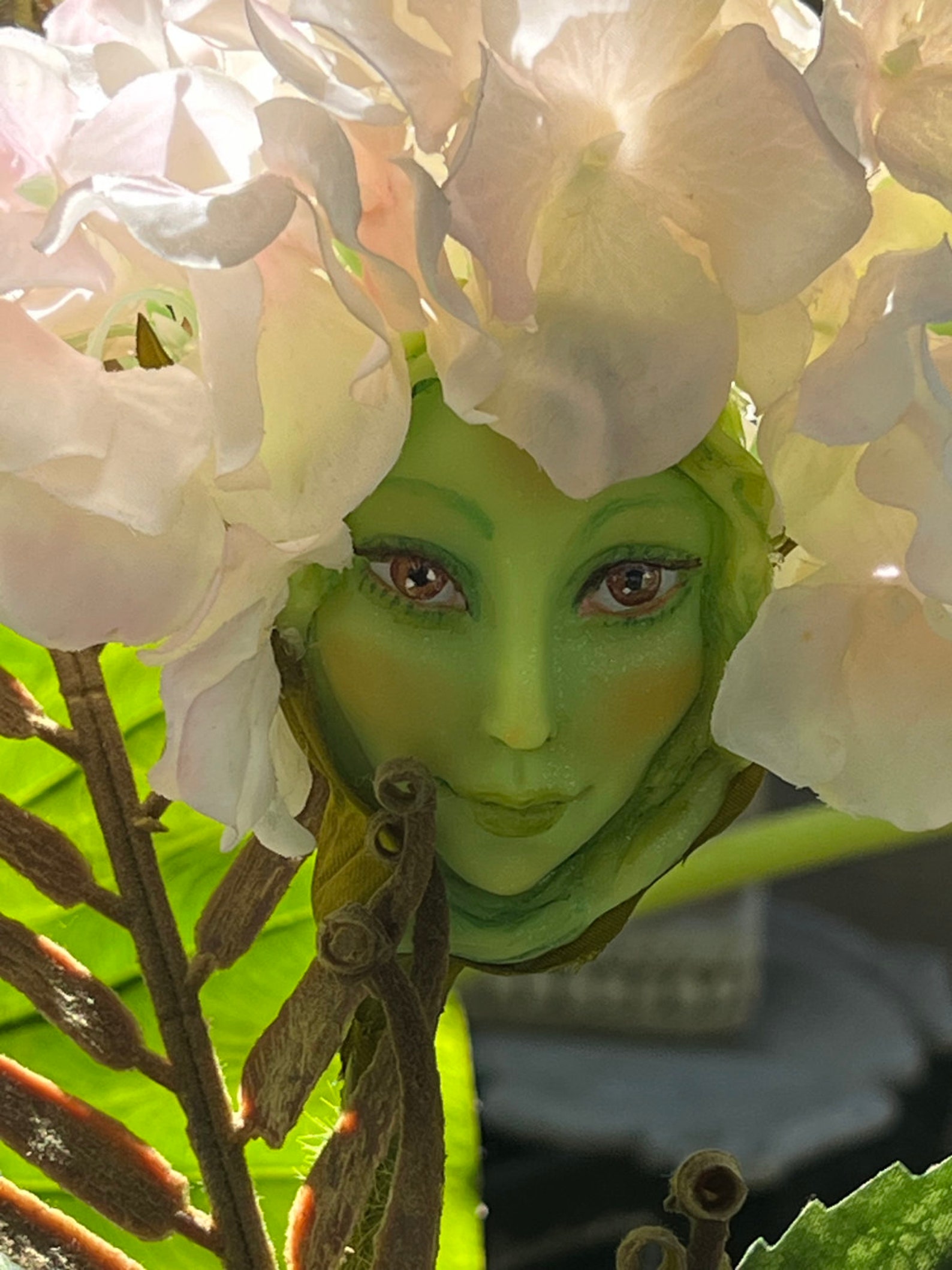 Nymph White Hydrangea Alice in Wonderland non Talking Flowers for ...