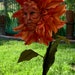 Alice in Wonderland (non) Talking Flowers "fire Dahlia" ~ Sutherland ...