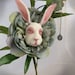Alice in Wonderland (non) Talking Flowers "white Rabbit" Character ...