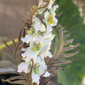 SNAPDRAGONS White/green Alice in Wonderland Talking Flowers for Parties ...