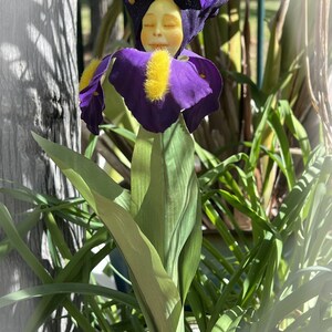 MUSING IRIS Alice in Wonderland (non) Talking Flowers for Parties ...