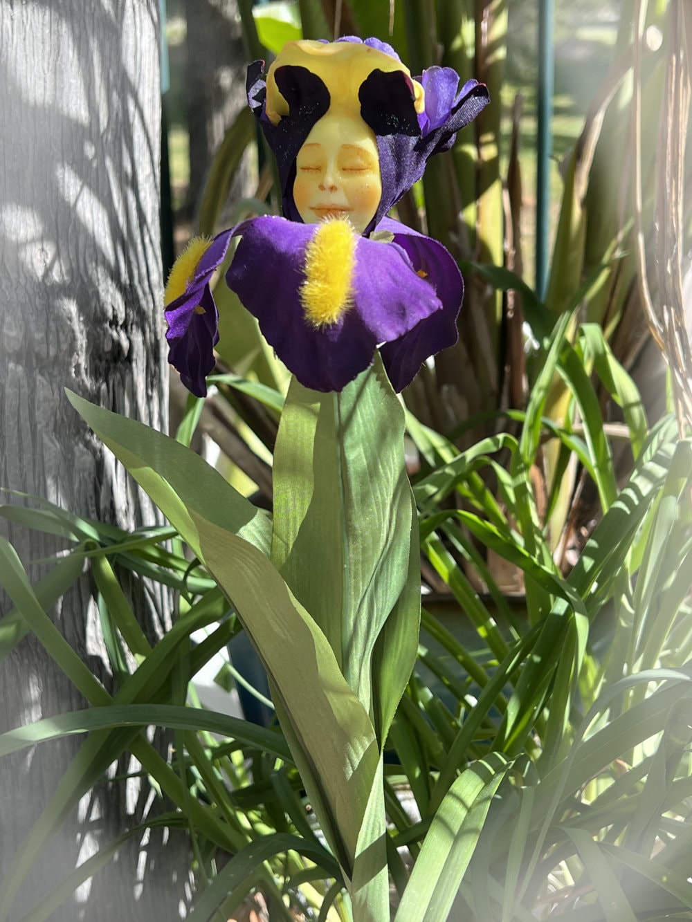 MUSING IRIS Alice in Wonderland (non) Talking Flowers for Parties ...
