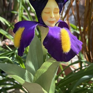 MUSING IRIS Alice in Wonderland (non) Talking Flowers for Parties ...